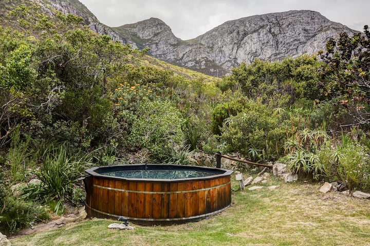 Whale Mountain House - Hermanus