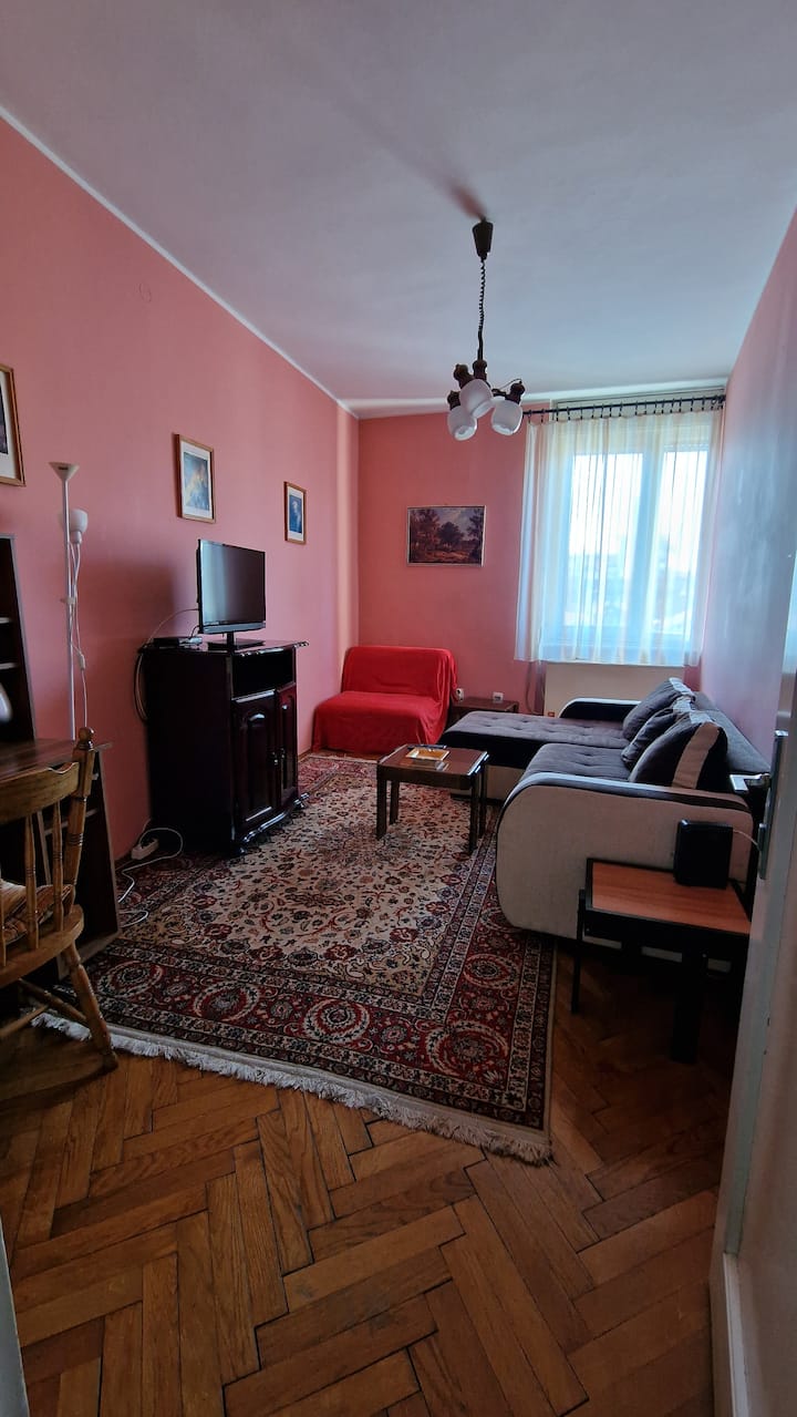 Fully Equipped Rustic 48m2 Apartment At Dorcol - Belgrade