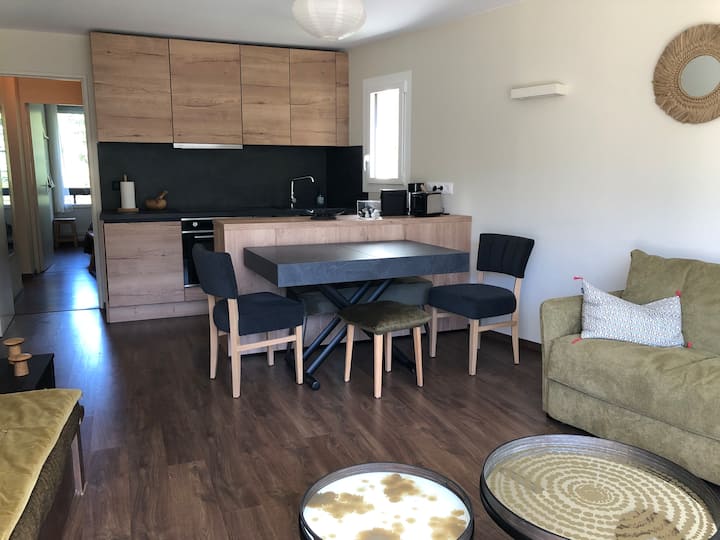Appartement 40m2 Au Pied Des Pistes Risoul - Guillestre