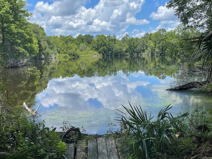 Lakefront -Near Town, Springs, Trails, & Nature - Gainesville, FL