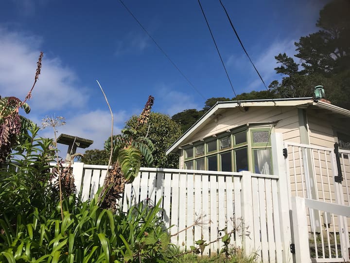 Charming Character Home - Wellington