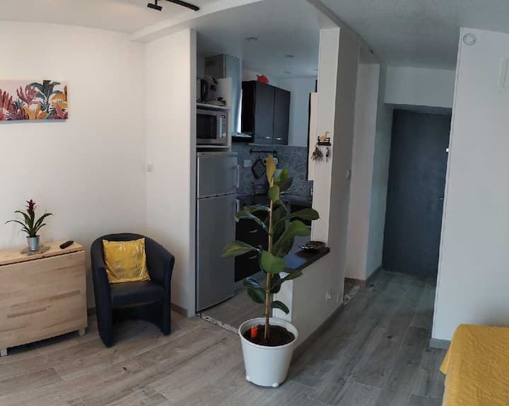 Studio Proche Des Cures Thermales Amélie Les Bains - Amélie-les-Bains-Palalda