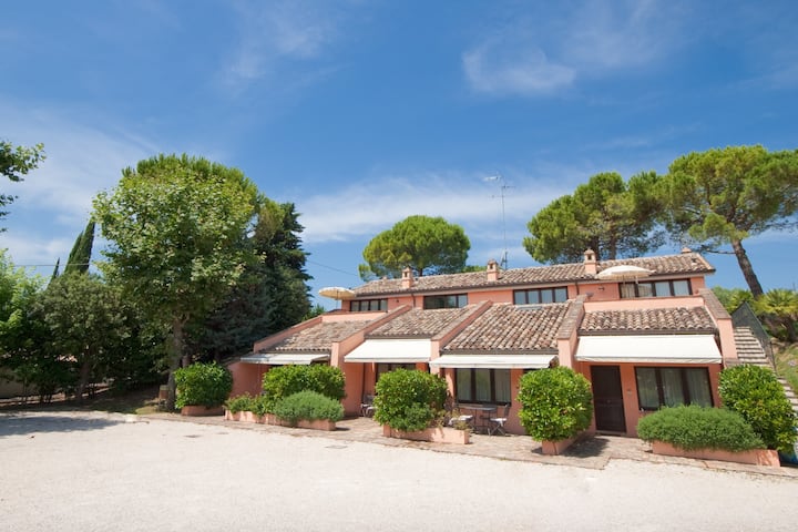 La Celeste - Civitanova Marche