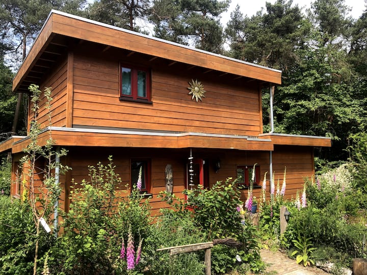 Oase Van Rust In De Bossen Bij Nijmegen - Groesbeek