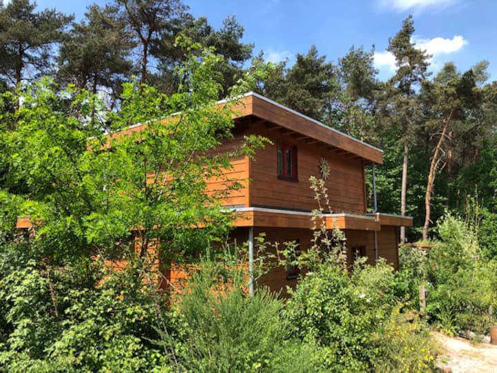Oase Van Rust In De Bossen Bij Nijmegen - Groesbeek