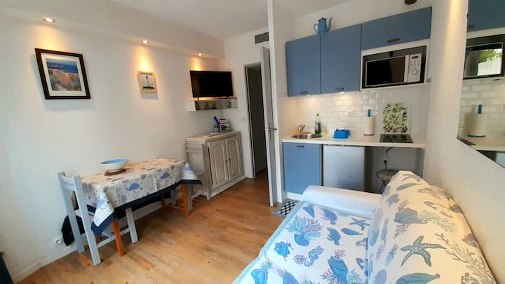 Studio Avec Terrasse Pour Séjour Au Bord De L'eau - Cannes