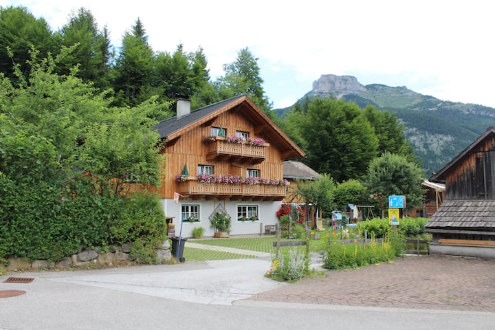 Ferienwohnung Leuner, Wohnung Zur Trisselwand - Altaussee