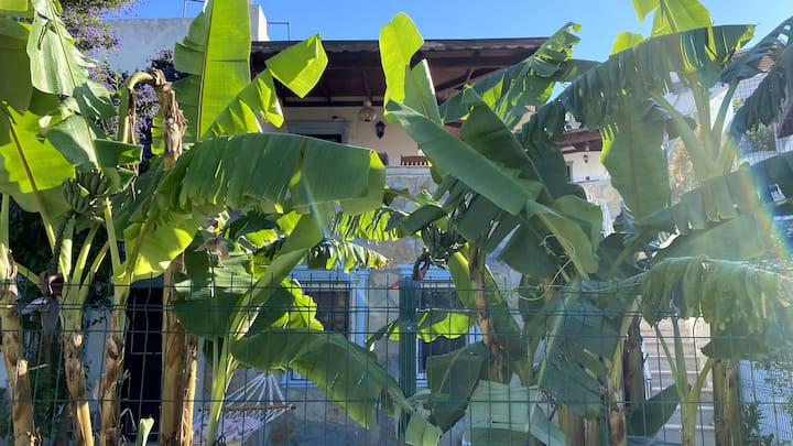 Villa In Gümüşlük/myndos (Very Close To The Beach) - Yalıkavak