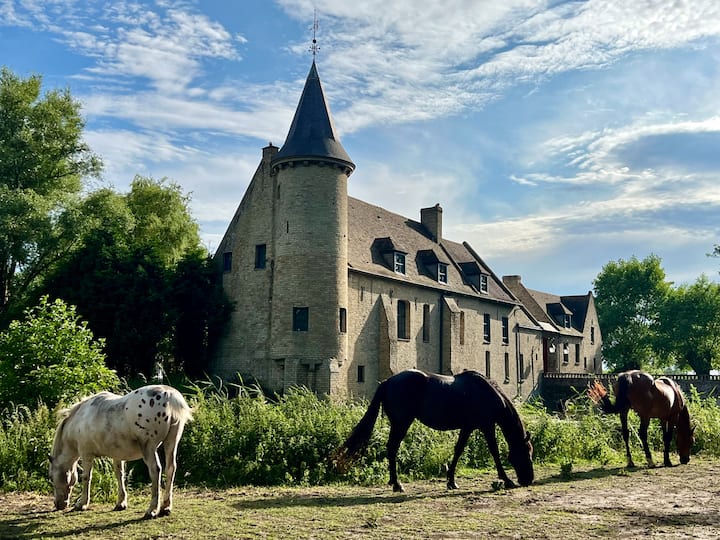 Chambre D’hôtes Eléonore - Gravelines