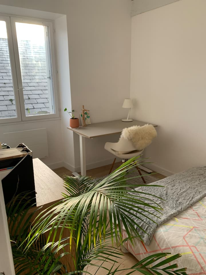 Orléans : Chambre Privée En Plein Centre Ville - Orléans