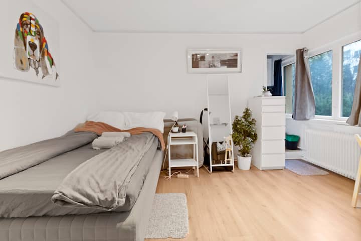 Studio In Oslo's Best West End, Bygdøy Allé - Oslo