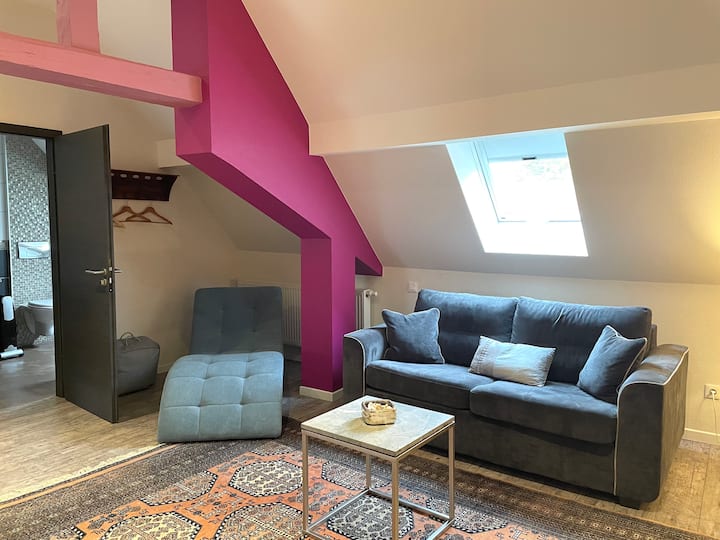 Suite Junior Climatisée - Sarreguemines
