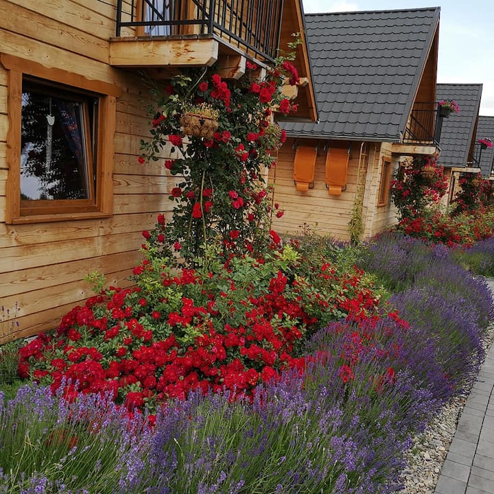 Domki Polanica Domek Nr 1 - Duszniki-Zdrój