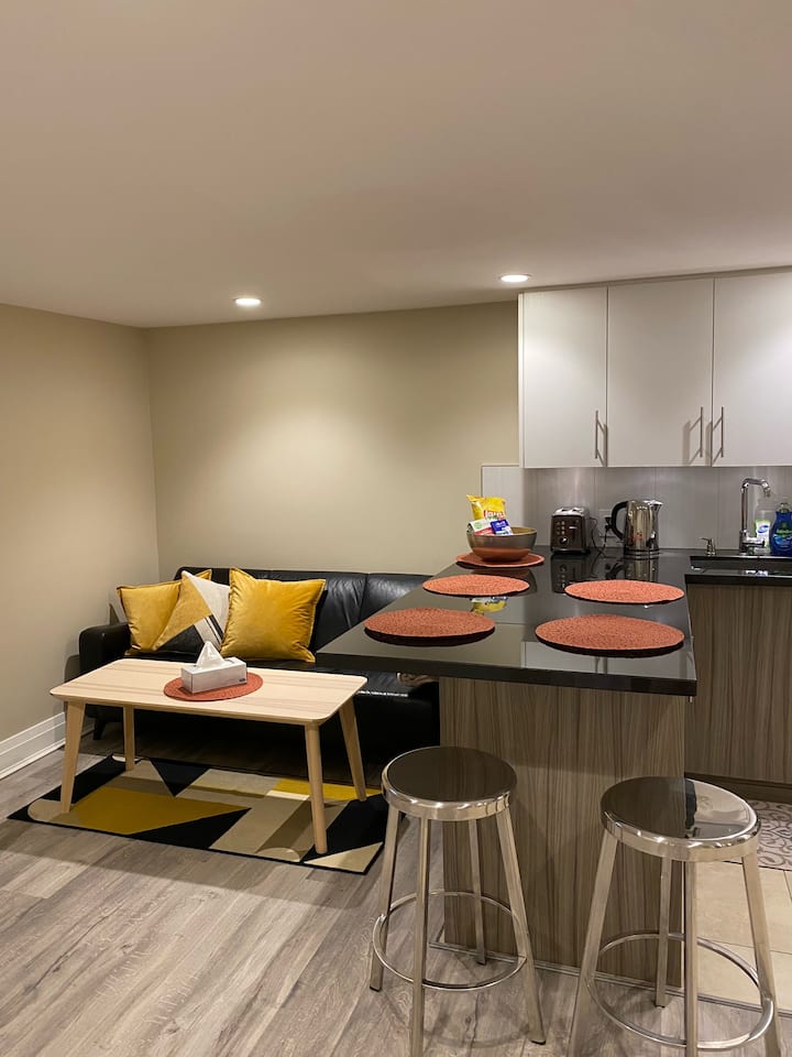 Renovated 1 Bedroom Basement Apartment - ヴォーン