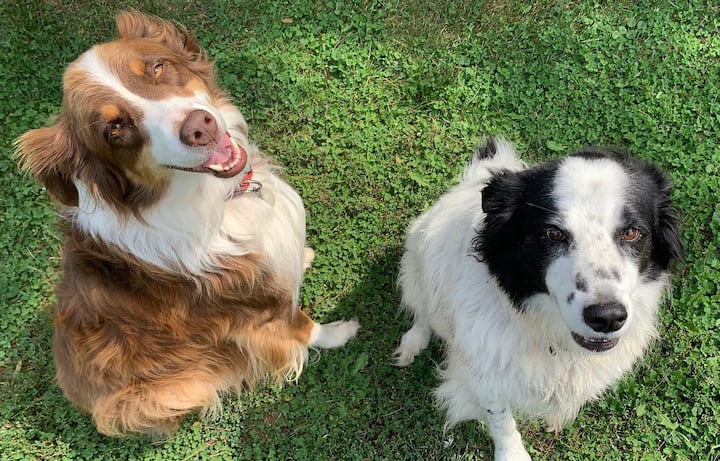 6 Best Ranches To Stay In Iowa, USA - Updated 2025 | Trip101