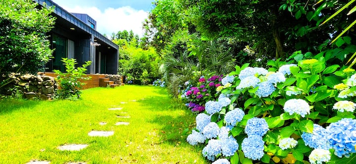 < 월든/ 청수 > : 제주 아늑한 산속숙소/ 투룸독채/ 돌담 귤밭 - 한림읍