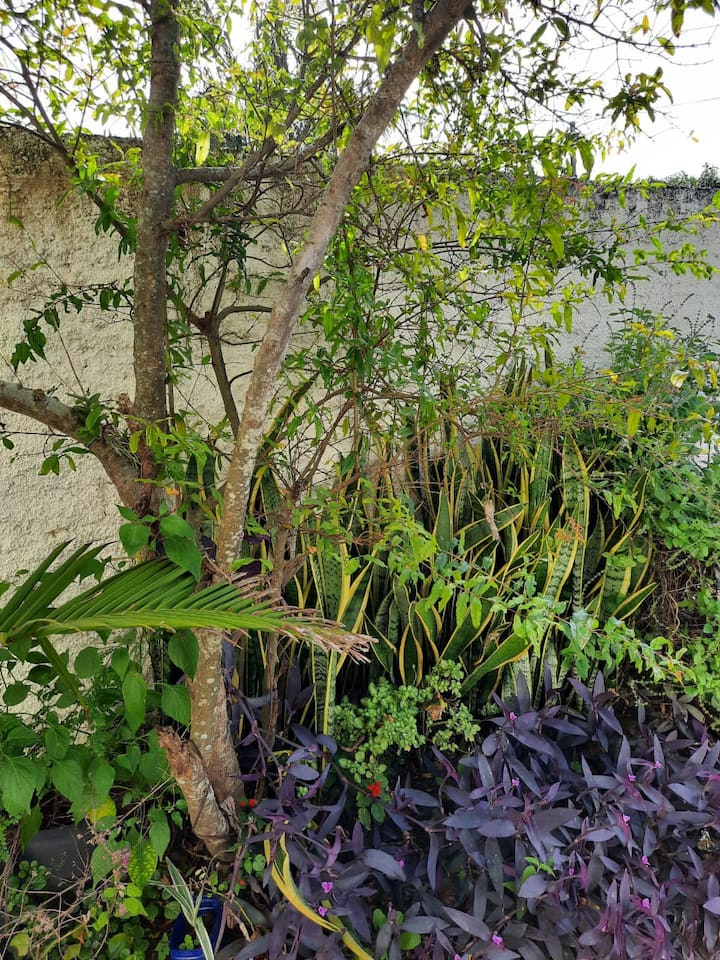 Estúdio Acolhedor E Versátil - Laguna