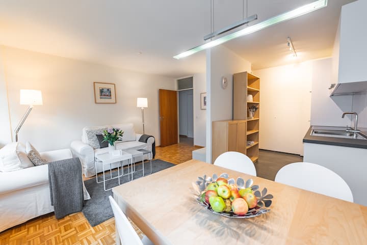Lovely Flat In The Gundeli Area (Jur614a) -