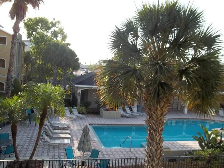 Condo In Clearwater Minutes From Clearwater Beach - Clearwater, FL