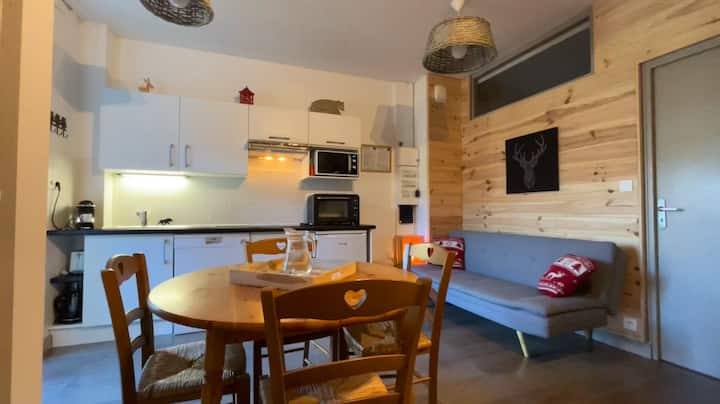 Appartement T3 Avec Terrasse 25m2 Vue Sur Le Sancy - Puy de Sancy