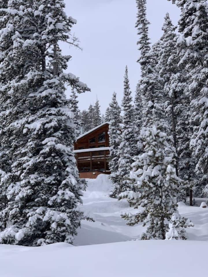 Hideaway In The Trees: Adventure With A Hot Tub! - Colorado