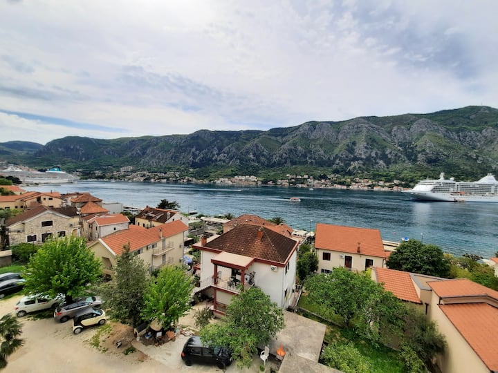 Apartments Knezevic 2 - Kotor