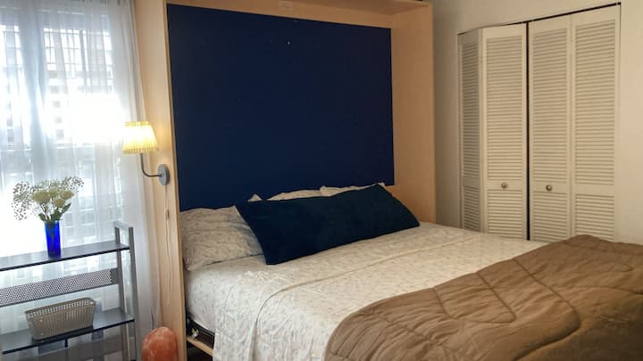 Comfortable Bedroom W/ Bathroom - Tarpon Springs, FL