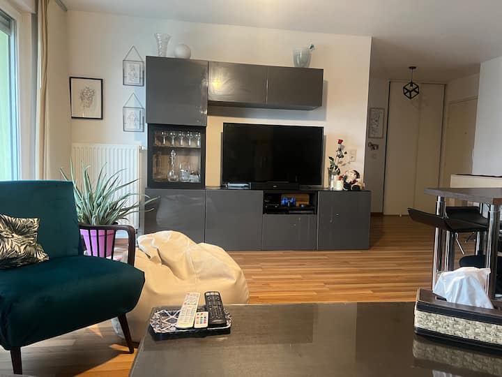 Appartement Entier + Parking Privé - Geispolsheim