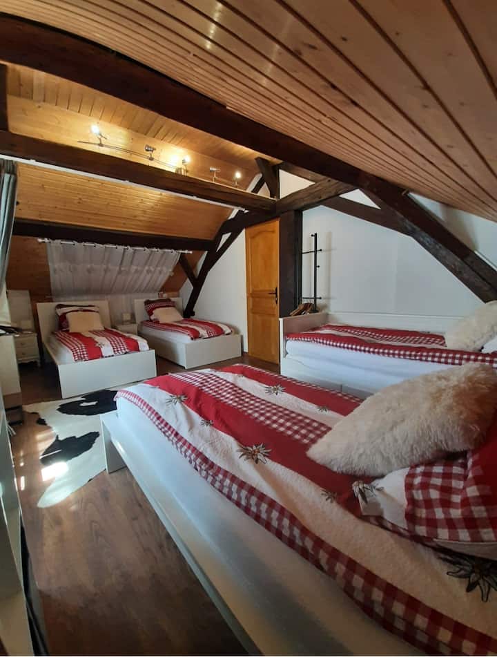 Big Room Chalet Grand-saconnex Palexpo Onu Airport - Ferney-Voltaire