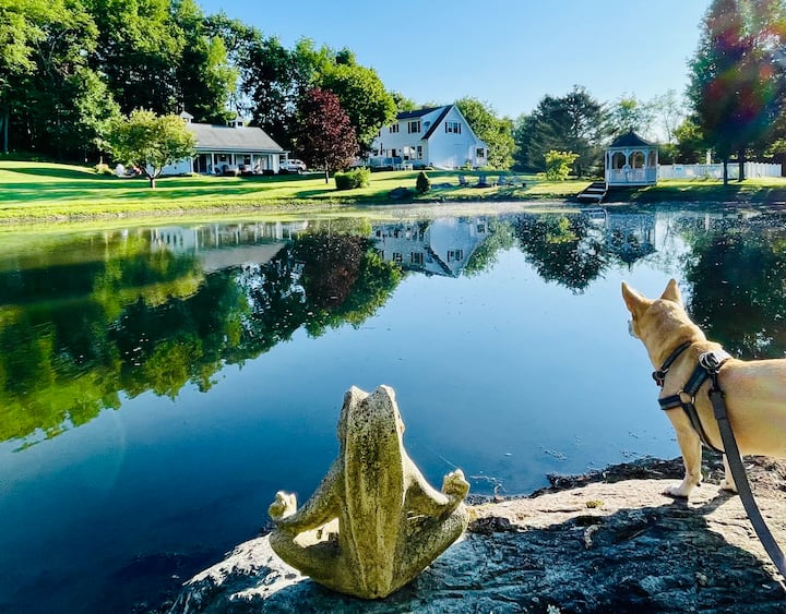 Year Round Serenity At The Bird Cottage - New England