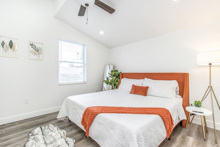 Contemporary 2 King Bedroom Newly Remolded Central - Tampa, FL