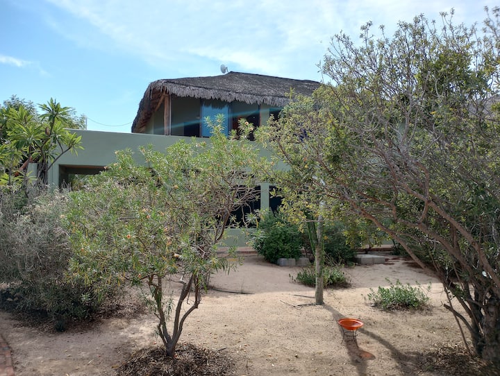 Casa Pájaros - Private 2-story Home - Cabo Pulmo National Park