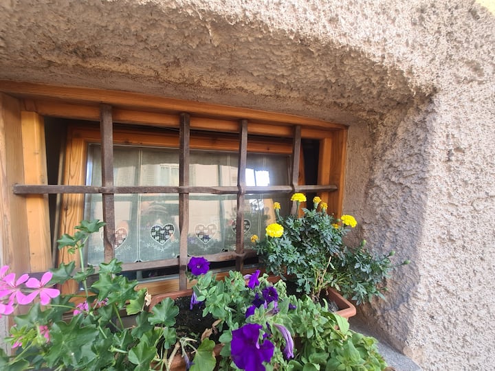 Rustico In Casa Storica Del 1600 - Tesero