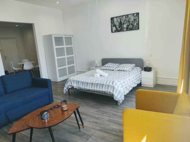 Chic, Spacieux & Lumineux Au Centre De Strasbourg - Strasburgo