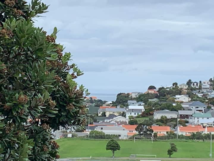 Amazing Penthouse Apartment With 3 Large Decks. - Wellington