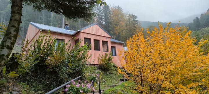 La Cigale Et Son Bain Nordique - Sainte-Marie-aux-Mines