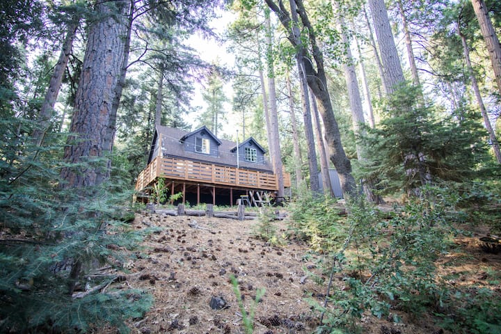 Cabin In The Woods Modern Tree House Retreat - Idyllwild-Pine Cove, CA