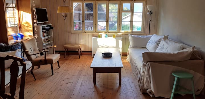 Därligen: Charmante Wohnung In Altem Bauernhaus - Interlaken