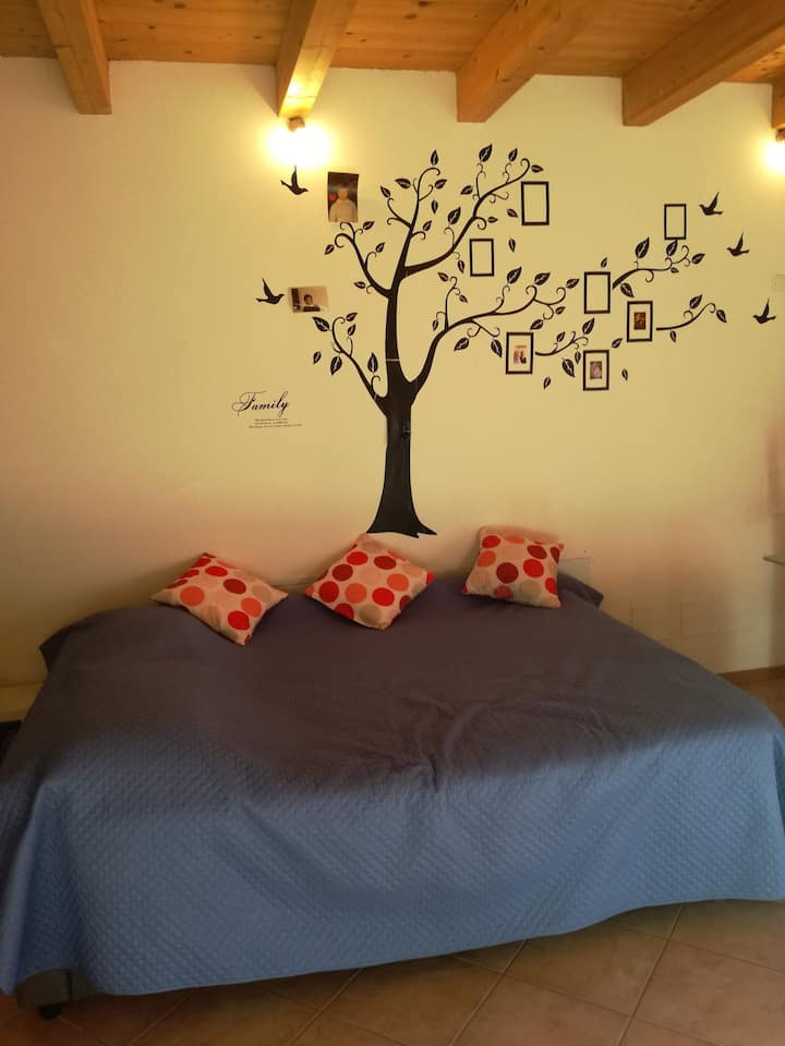 Casa Per Brevi Soggiorni. - Trento