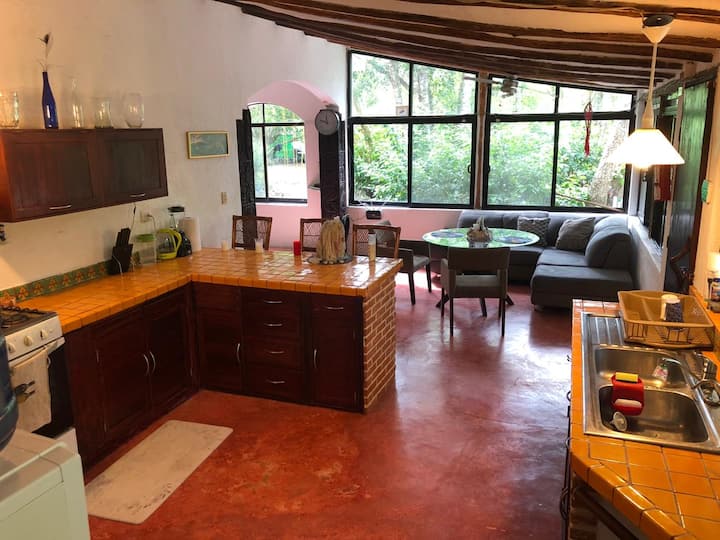 Room In The Eco Jungle House Near Puerto Aventuras - Puerto Aventuras