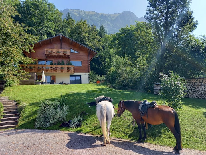 Rez De Jardin D'un Chalet Savoyard - Praz de Lys Sommand
