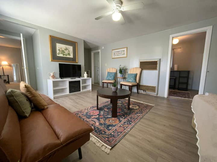 Comfy 1br Apartment | Queen & Sofa Bed Near Vsu - Valdosta, GA
