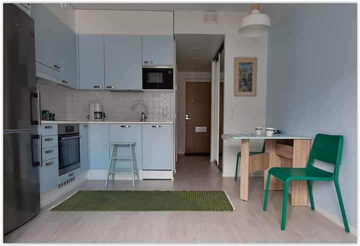 Appartment Au Centre - Kuopio