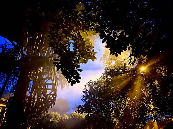 Baumhaus Und Wohnung Ruhig. - Dresden