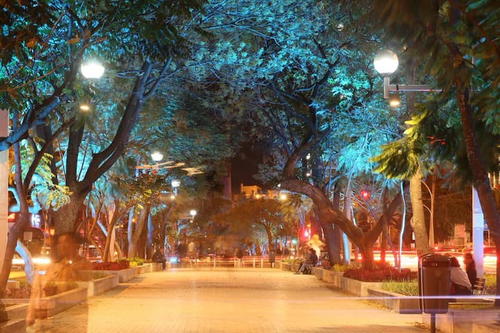 ¡ Vive Chapultepec ! - Departamento Nuevo Para 6 - Guadalajara