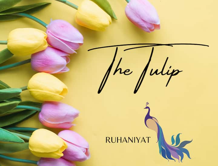 Tulip @Ruhaniyat, Green Retreat Nr Golden Temple - Amritsar