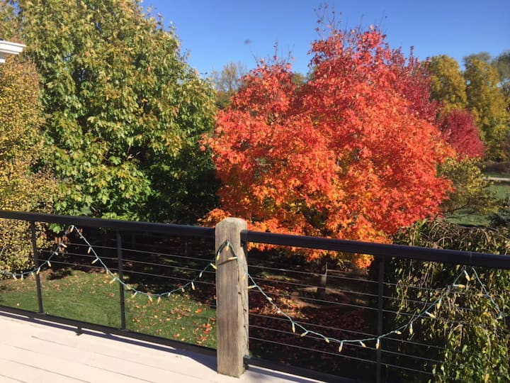 Quiet Suburban Home Along Park! Quick Omaha Access - Omaha, NE