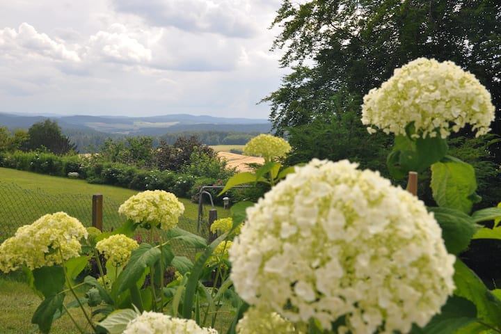 Marburg - Exclusive Garden Apartment, Idyllic! - Marburg