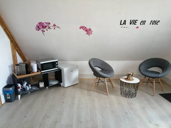 Jolie Chambre Avec Salle D'eau Privée - Chartres
