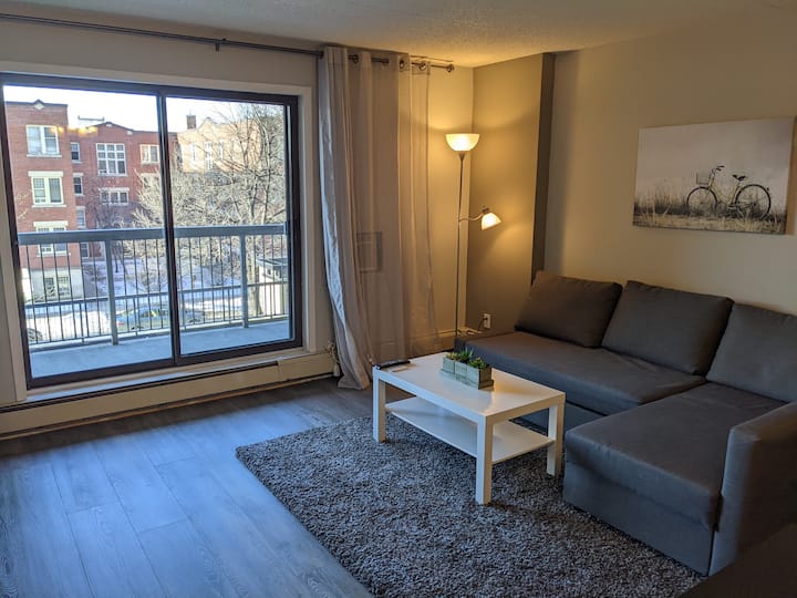 Cozy Condo In The Heart Of Downtown Winnipeg - Winnipeg